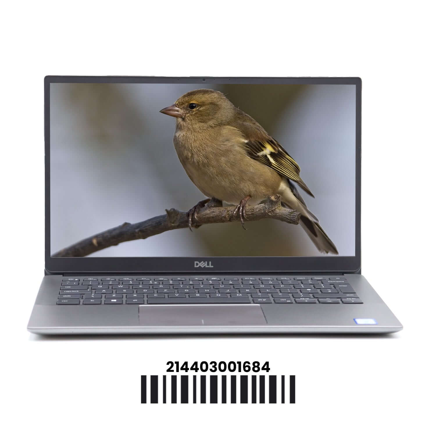 Dell INC. Latitude 3301: Intel Core i5, 8th Gen, 8GB RAM, 256GB SSD – T ...