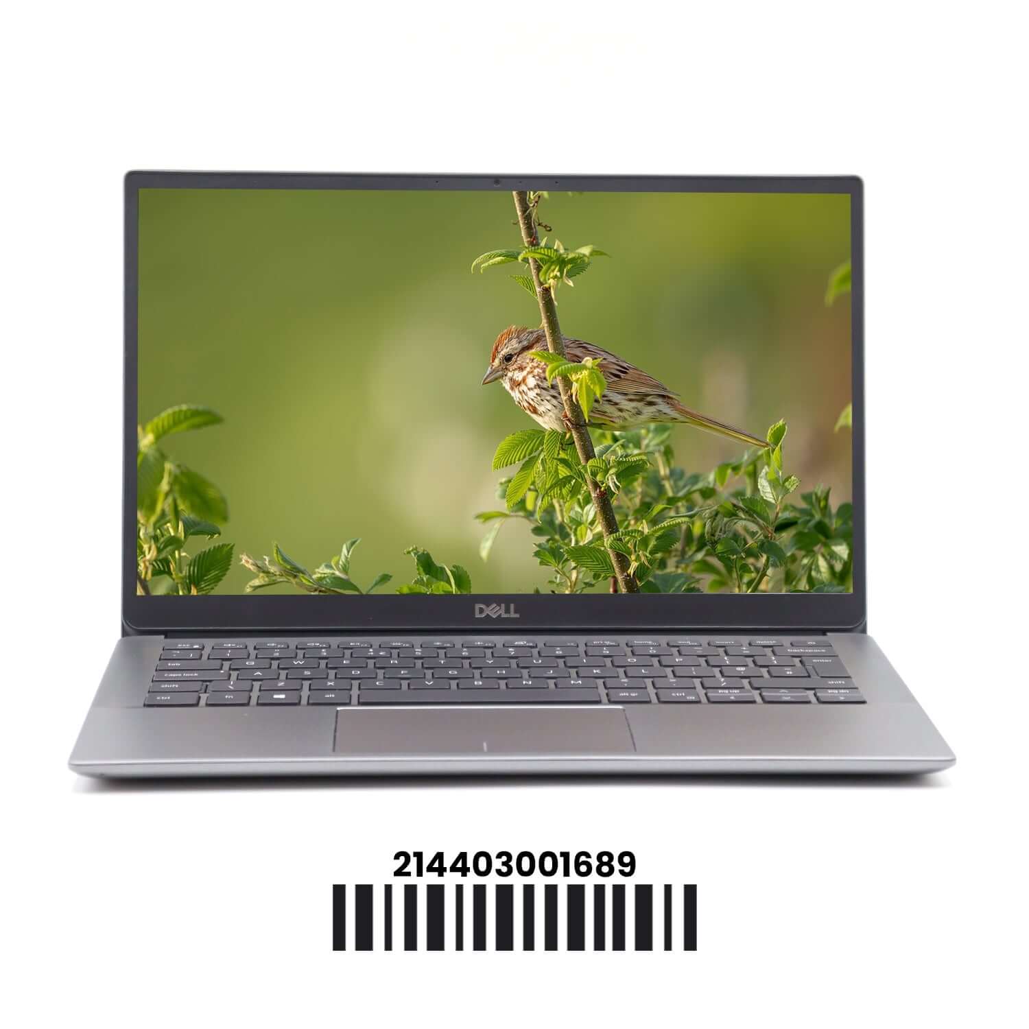 Dell INC. Latitude 3301: Intel Core i5, 8th Gen, 8GB RAM, 256GB SSD – T ...