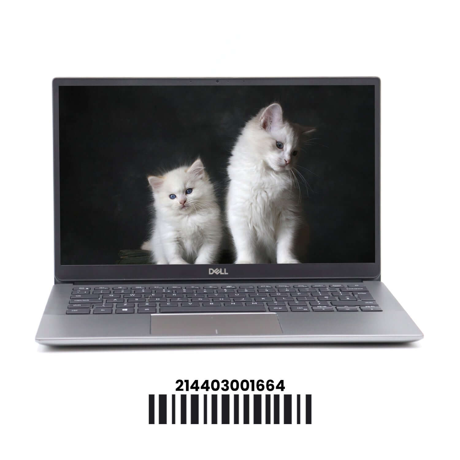 Dell INC. Latitude 3301: Intel Core i5, 8th Gen, 8GB RAM, 256GB SSD – T ...